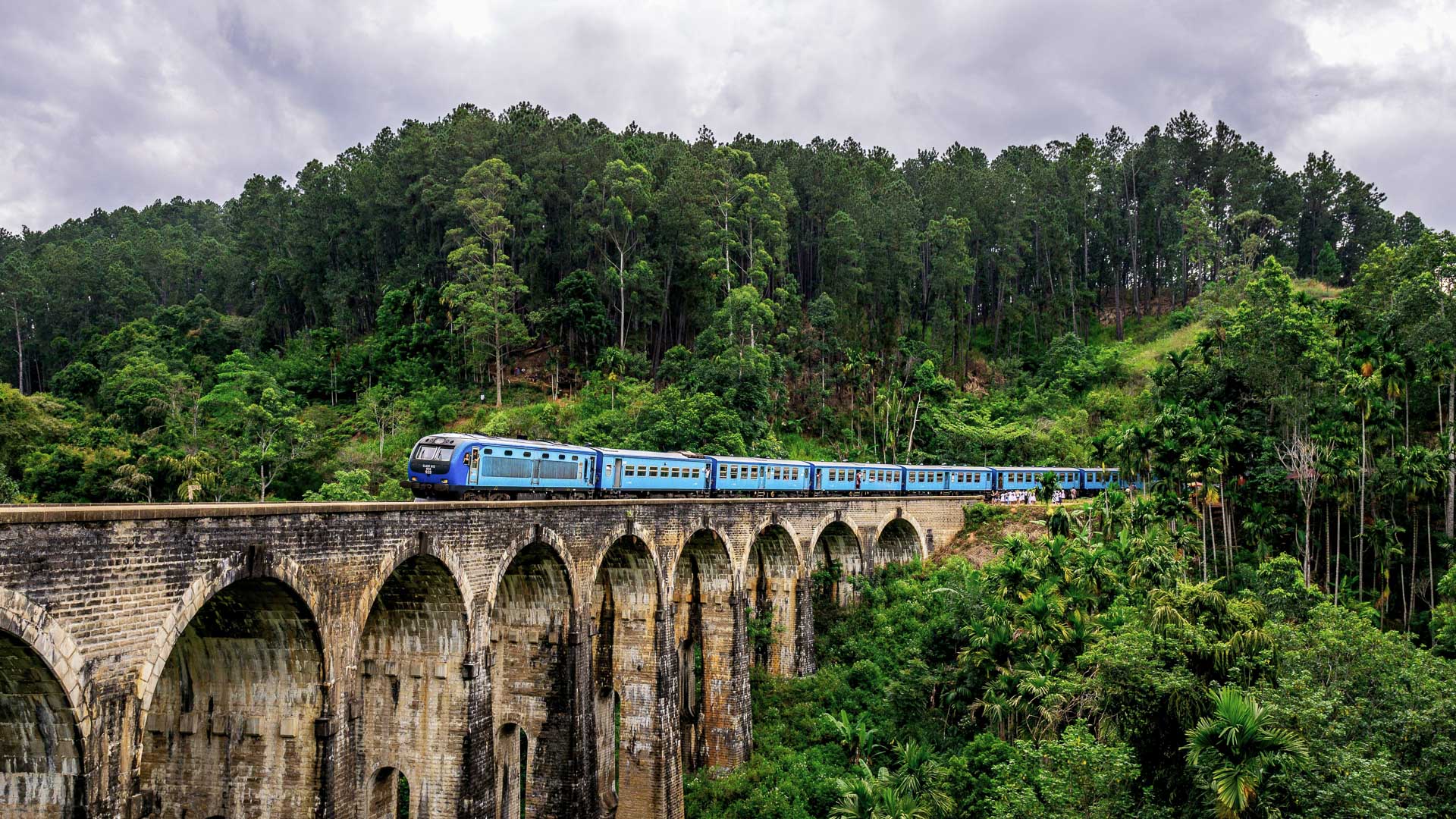 Treasure Tours De Ceylon - Tour Packages